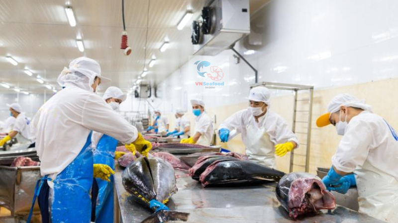 Vietnam Tuna Export Challenges to EU & US in 2026