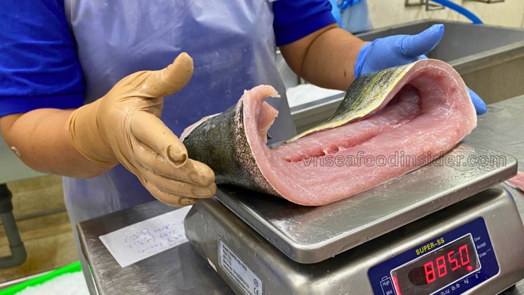 Quality Frozen Mahi Mahi Fillets? Here's Why Vietnam Beats the Competition